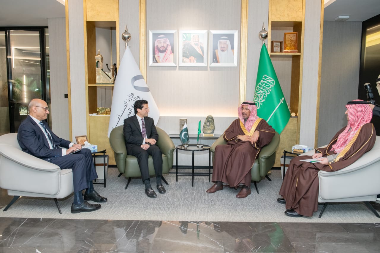 Pakistan, Saudi Arabia strengthen strategic cooperation in mining ...